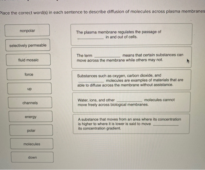 Solved Place the correct word(s) in each sentence to | Chegg.com