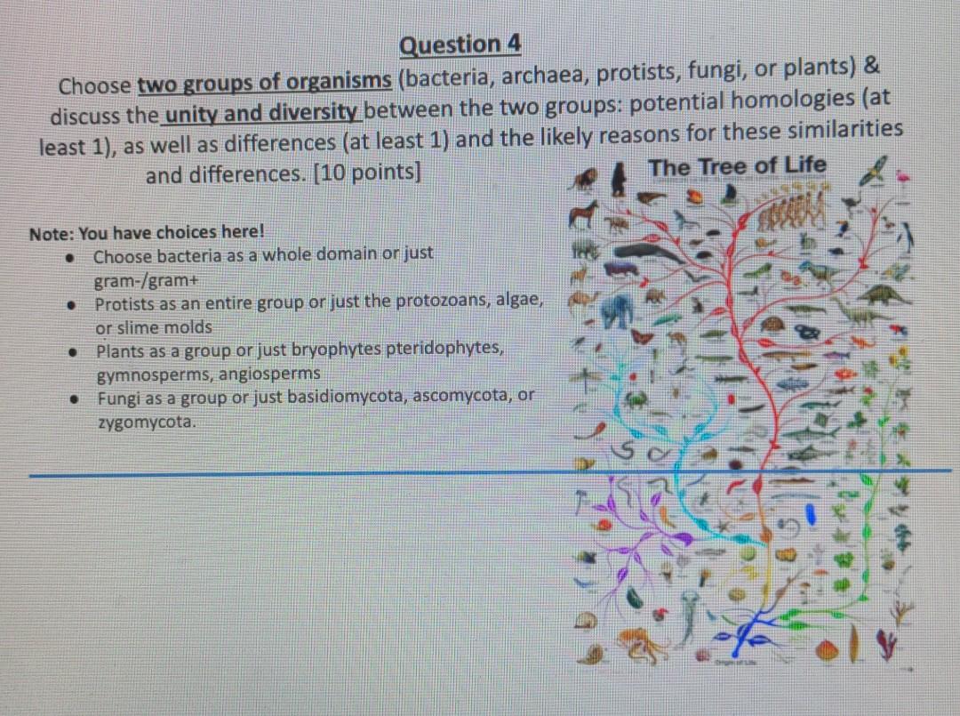 Solved Question 4 Choose two groups of organisms (bacteria, | Chegg.com