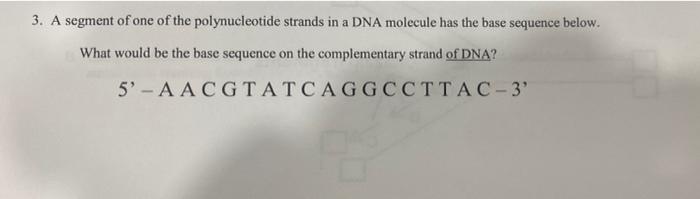 Solved 3. A segment of one of the polynucleotide strands in | Chegg.com