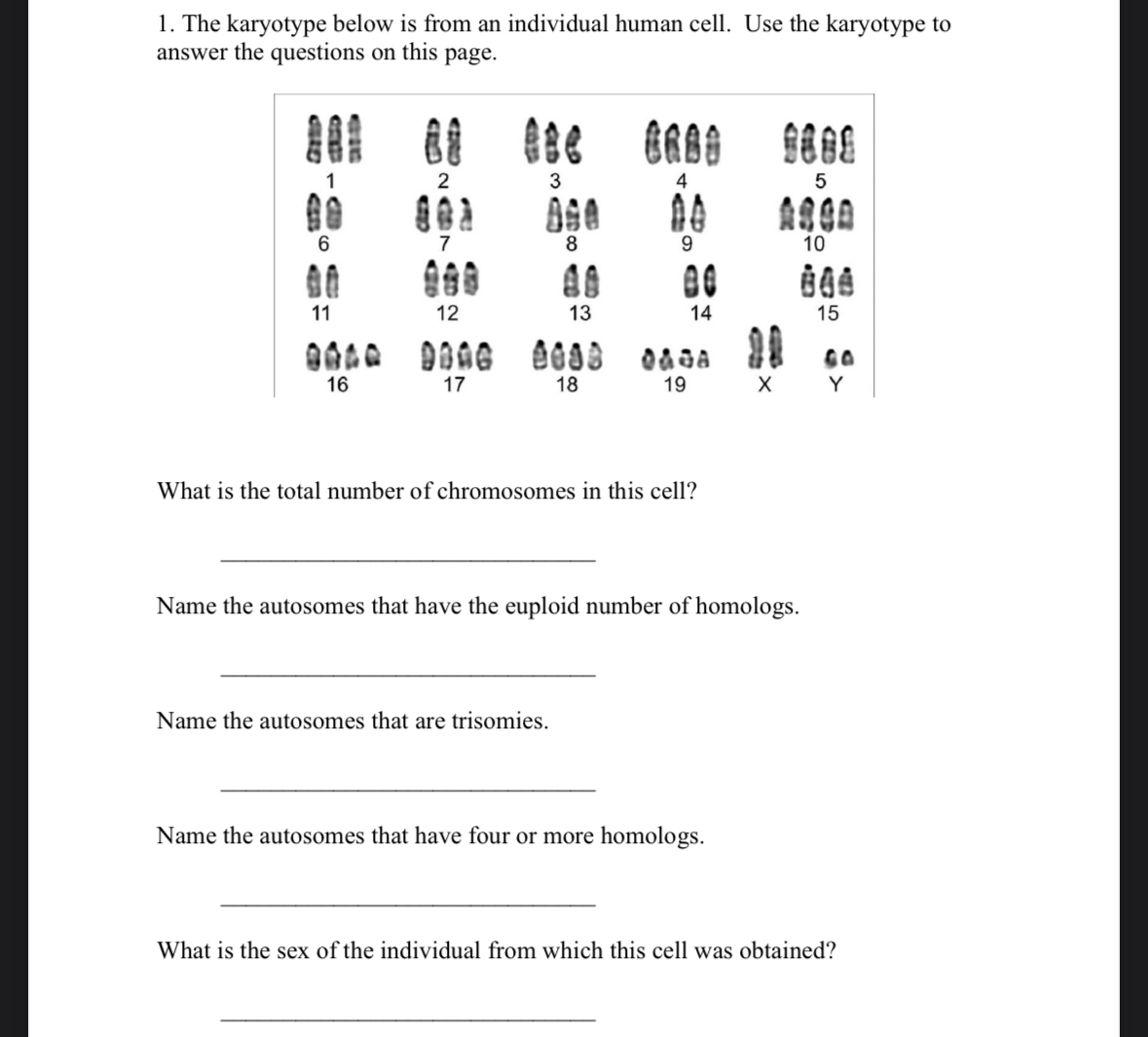 Solved The karyotype below is from an individual human cell. | Chegg.com