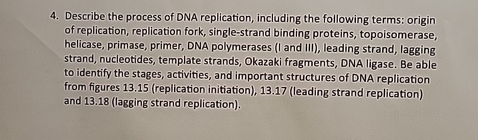 Solved Describe the process of DNA replication, including | Chegg.com