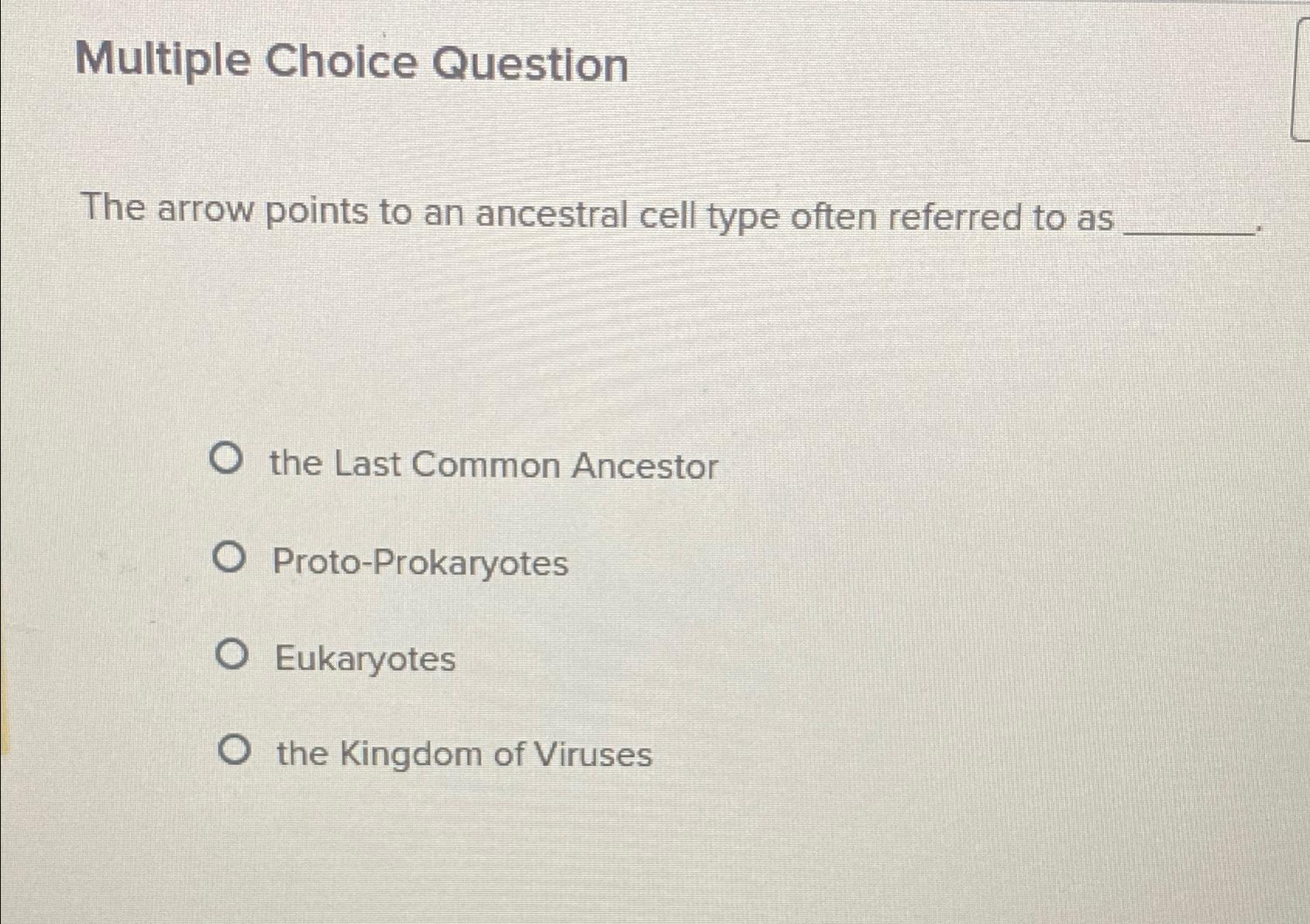 Solved Multiple Choice QuestionThe arrow points to an | Chegg.com
