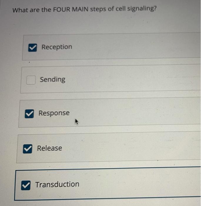 Solved What are the FOUR MAIN steps of cell signaling? | Chegg.com