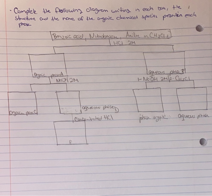 Solved Complete the following diagram writing in each box | Chegg.com