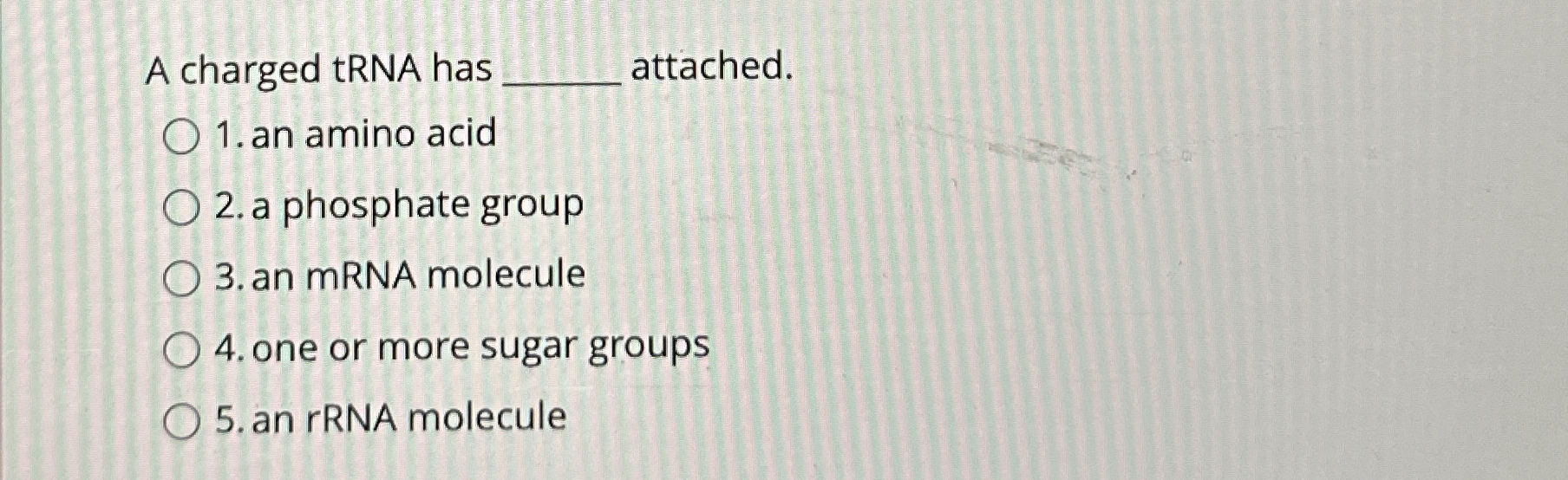 Solved A charged tRNA has attached.an amino acida phosphate | Chegg.com