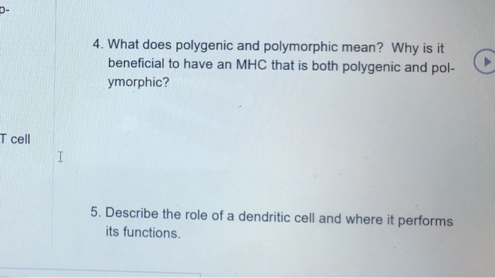 Solved 4. What does polygenic and polymorphic mean? Why is | Chegg.com