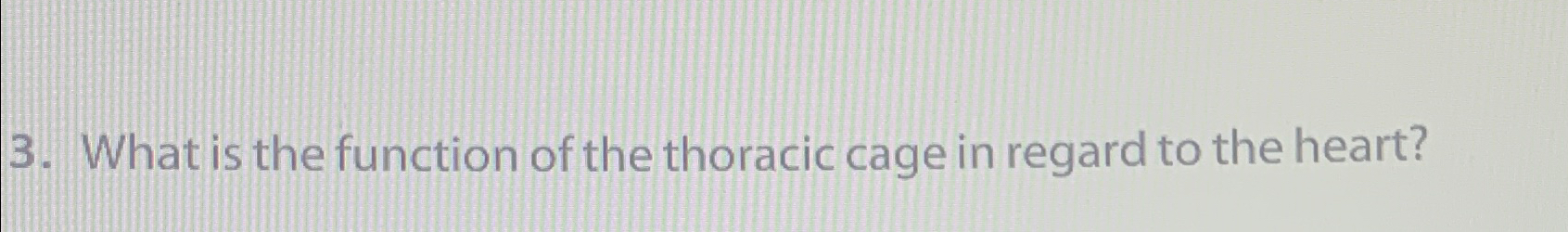 Solved What is the function of the thoracic cage in regard | Chegg.com