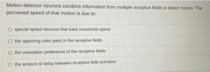 Solved Motion Detector Neurons Combine Information From