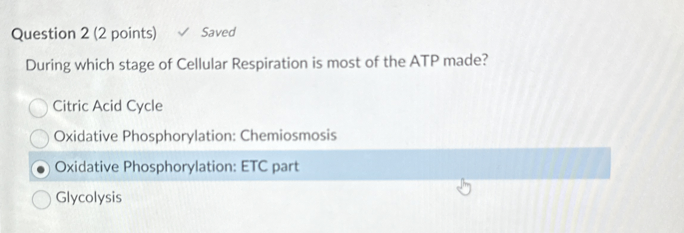 Solved Question 2 (2 ﻿points) ﻿SavedDuring which stage of | Chegg.com