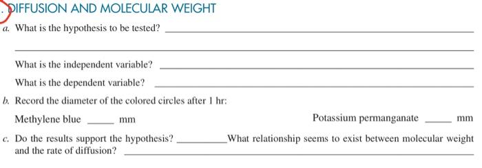 DIFFUSION AND MOLECULAR WEIGHT a. What is the | Chegg.com
