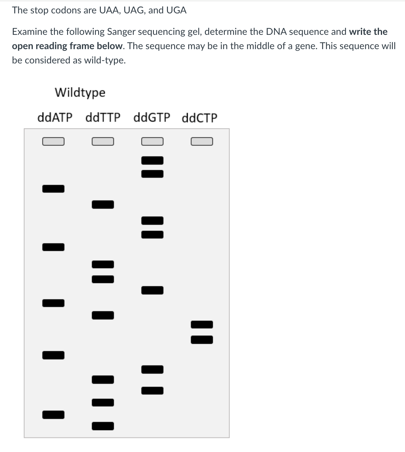 The stop codons are UAA, UAG, and UGAExamine the | Chegg.com