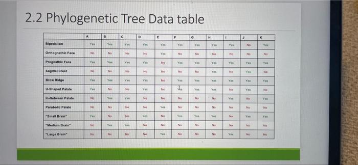 2.2 Phylogenetic Tree Data table А B D F H 1 * K | Chegg.com