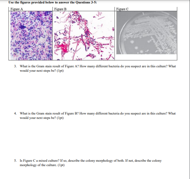 Solved Use the figures provided below to answer the | Chegg.com