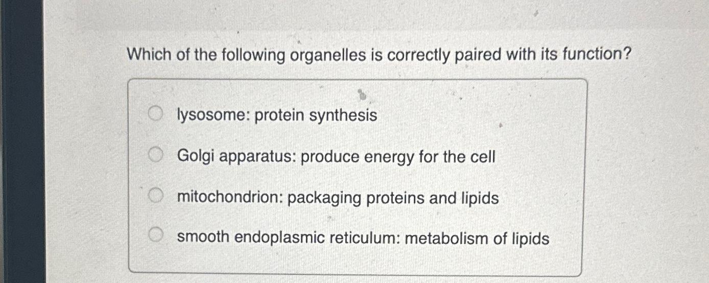 Solved Which of the following organelles is correctly paired | Chegg.com