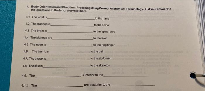 Anatomical Position - Use a figure from your textbook | Chegg.com
