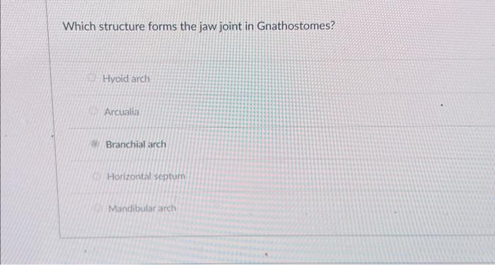 Solved Which structure forms the jaw joint in Gnathostomes? | Chegg.com