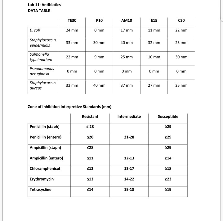 Solved Lab 11: Antibiotics DATA TABLE TE30 P10 AM10 E15 C30 | Chegg.com