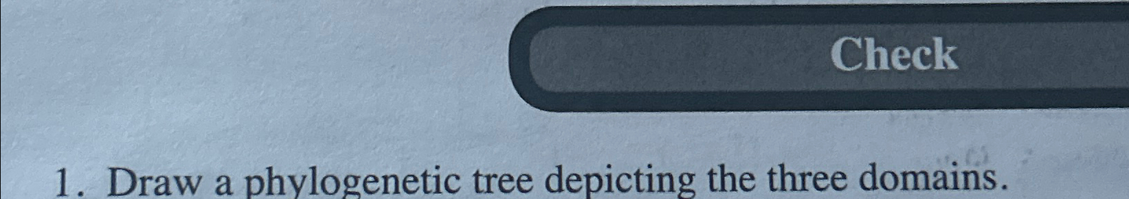 Solved Draw a phylogenetic tree depicting the three domains. | Chegg.com