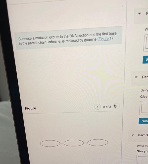 Suppose a mutation occurs in the DNA section and the | Chegg.com