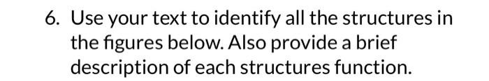 7. 8. Use your text to identify all the structures | Chegg.com