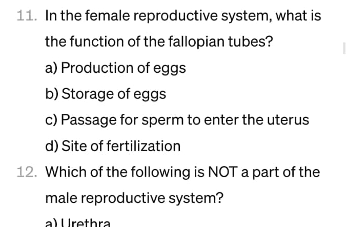 Solved In the female reproductive system, what is the | Chegg.com