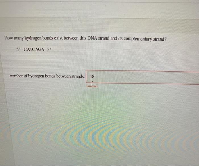 As a result of the rotation about its six bonds, DNA | Chegg.com