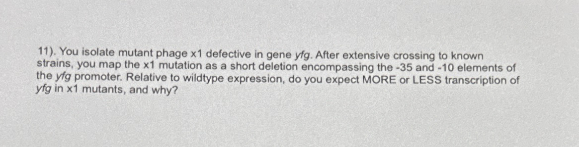Solved . ﻿You isolate mutant phage x1 ﻿defective in gene | Chegg.com