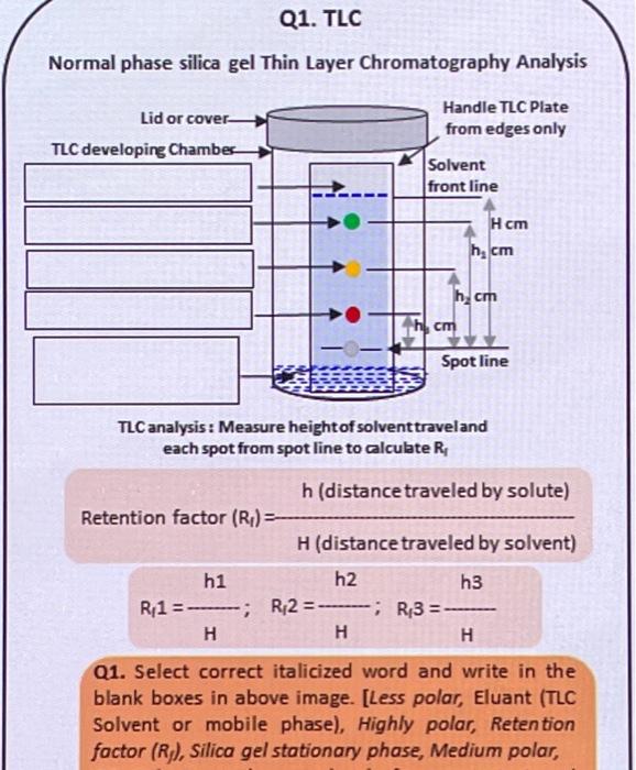 Solved Normal phase silica gel Thin Layer Chromatography | Chegg.com