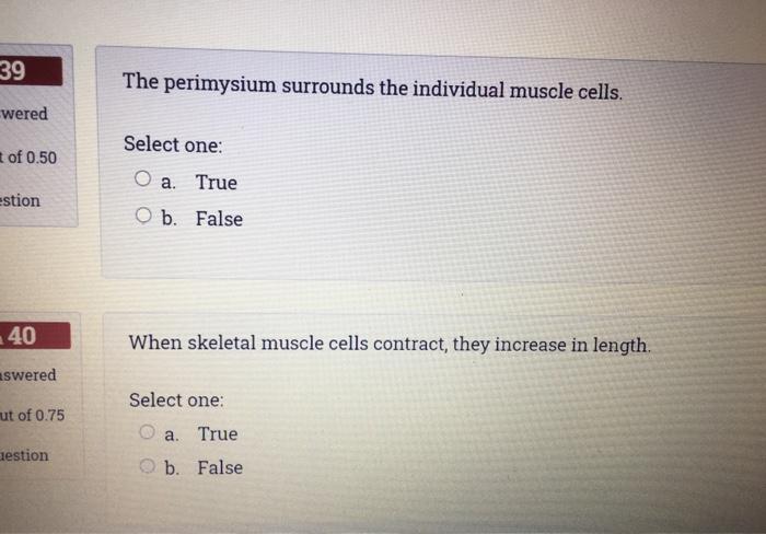 Solved 39 The perimysium surrounds the individual muscle | Chegg.com