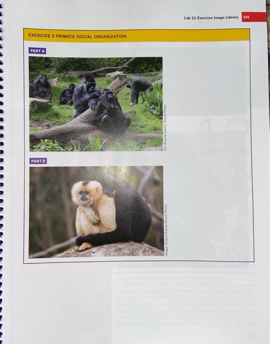 Solved Name Date: La Exercises 320 EXERCISE 4 PRIMATE | Chegg.com