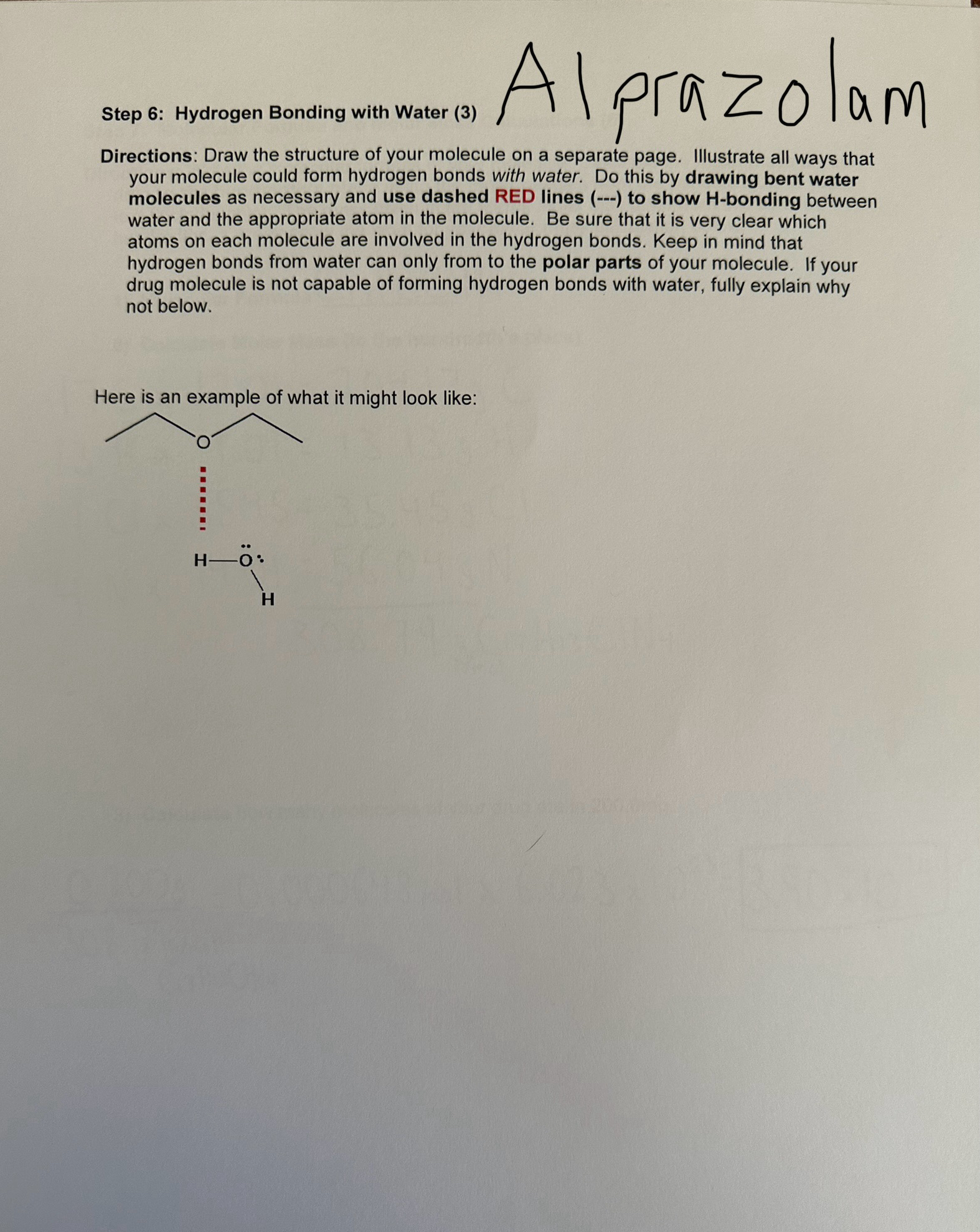 Solved Step 6: Hydrogen Bonding with Water | Chegg.com