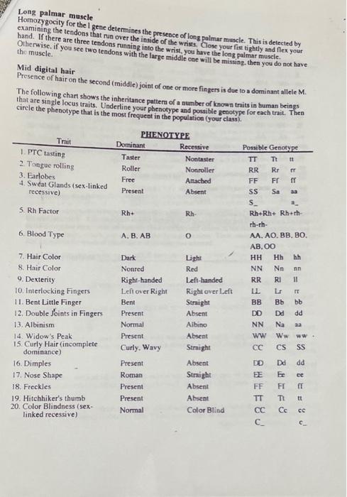 Solved HUMAN TRAITS EXERCISE INTRODUCTION Analyses of human | Chegg.com
