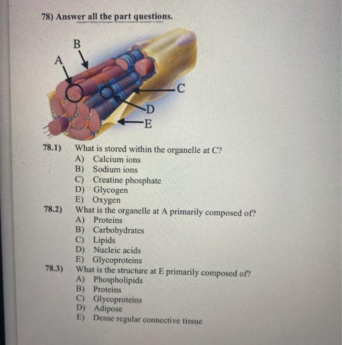Solved 78) Answer all the part questions. B ΑΙ С D E 78.1) | Chegg.com