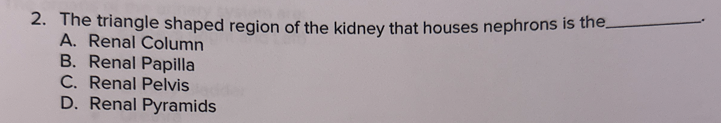 Solved The triangle shaped region of the kidney that houses | Chegg.com