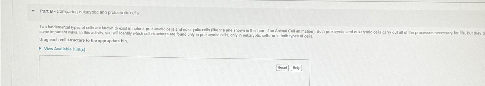 Solved Part B - ﻿Comparing eukaryotic and prokaryotic cells | Chegg.com