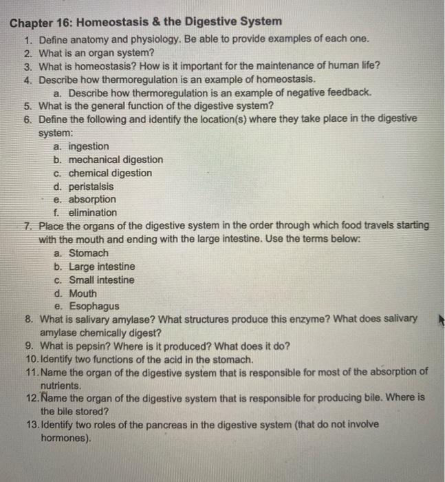 Solved Chapter 16: Homeostasis & the Digestive System 1. | Chegg.com