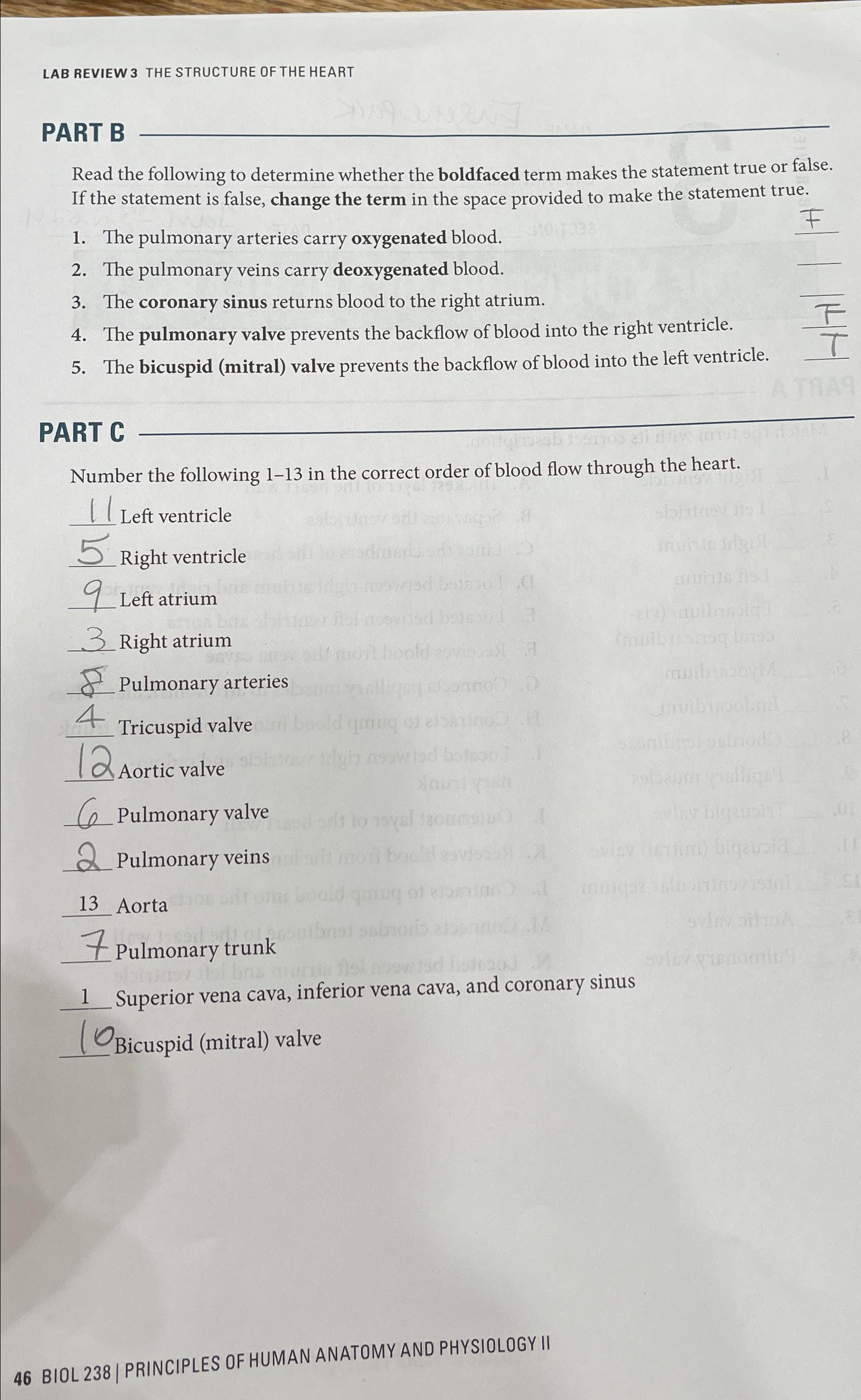 Solved LAB REVIEW 3 ﻿THE STRUCTURE OF THE HEARTPART BRead | Chegg.com