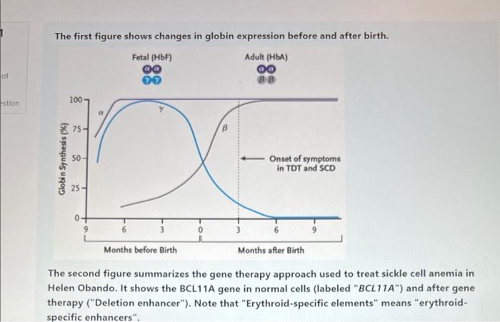 The first figure shows changes in globin expression | Chegg.com