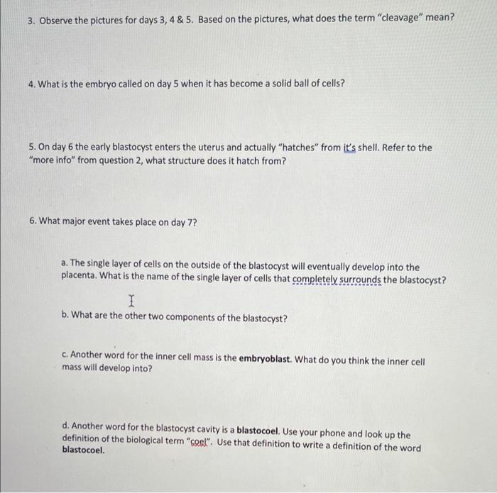 Solved Embryonic Phase of Development POGIL Model 1: First | Chegg.com