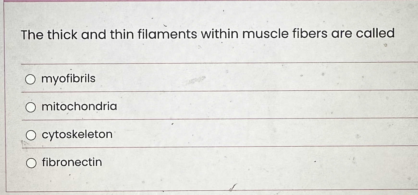 Solved The thick and thin filaments within muscle fibers are | Chegg.com