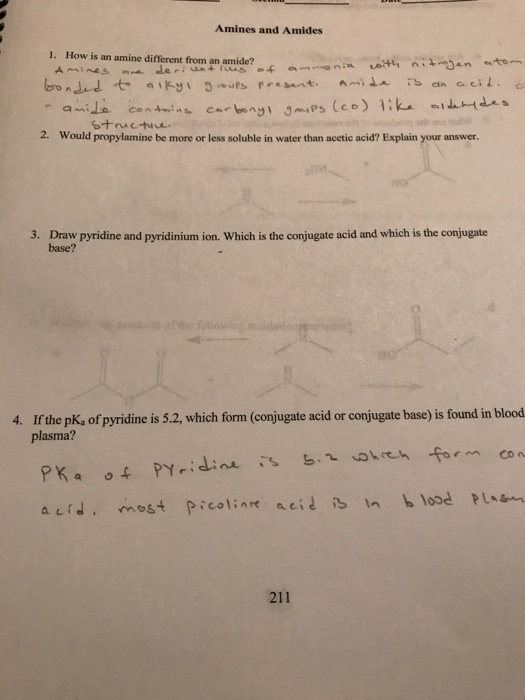 Solved Amines and Amides 1. How is an amine different from | Chegg.com