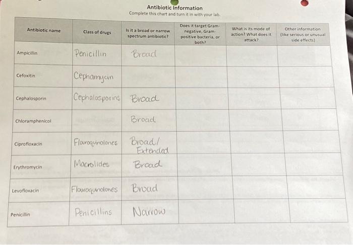 Solved Antibiotic Information Complete this chart and turn | Chegg.com
