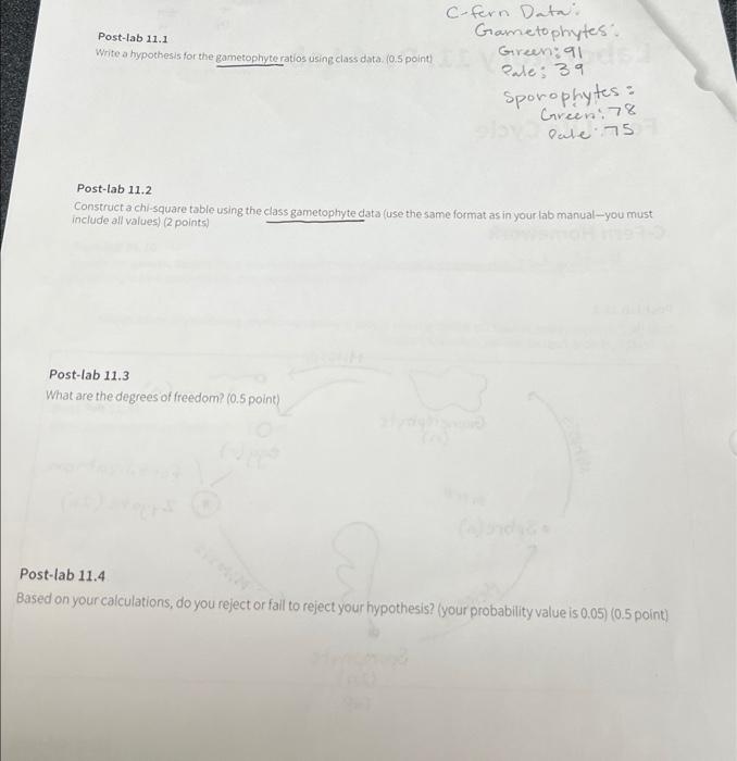 Solved Post-lab 11.1 Write a hypothes is for the gametophyte | Chegg.com