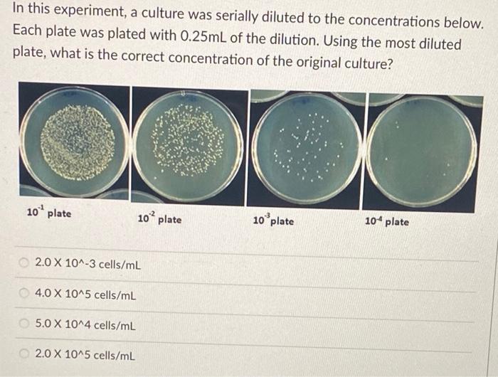Solved In this experiment, a culture was serially diluted to | Chegg.com