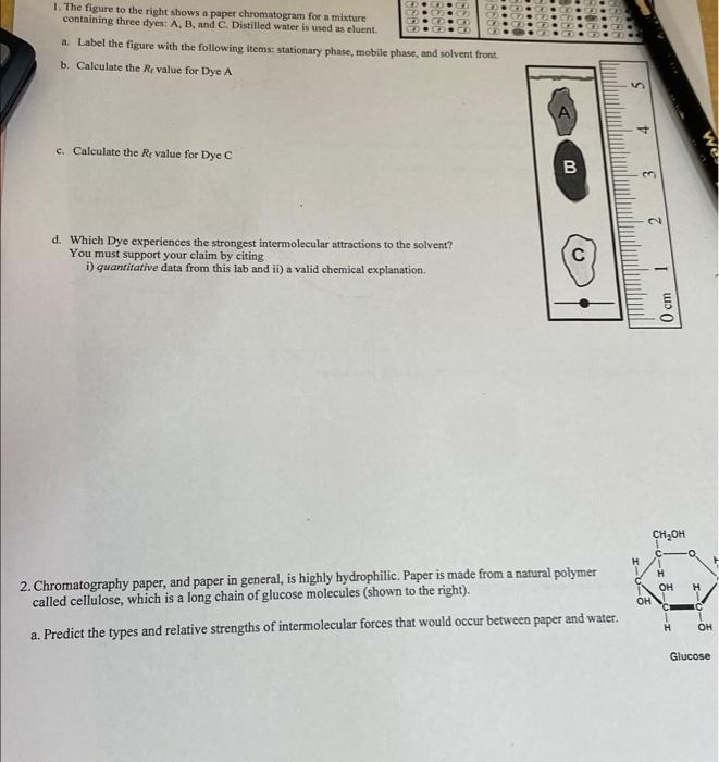 Solved 1. The figure to the right shows a paper chromatogram | Chegg.com