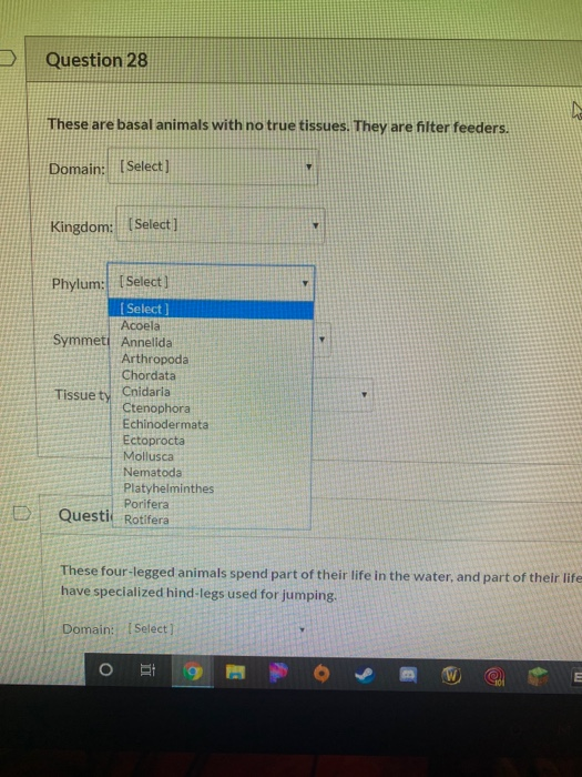 Solved D Question 28 5 p These are basal animals with no | Chegg.com