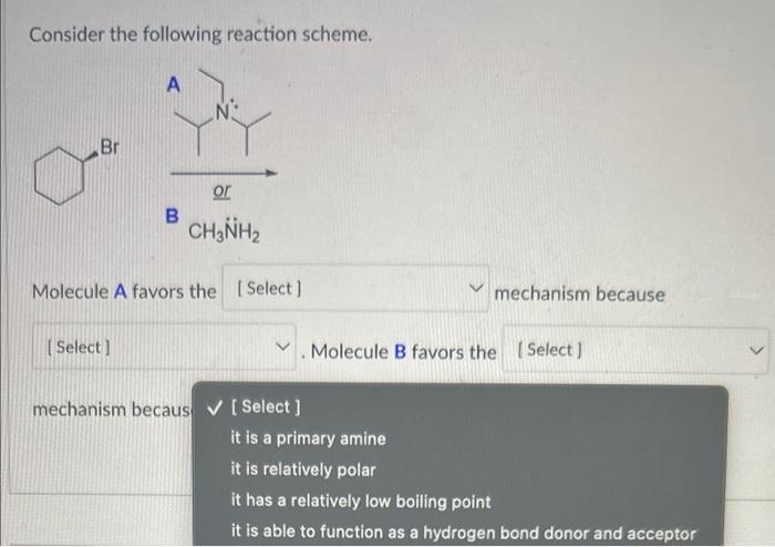Solved Consider the following reaction scheme. B CH3NH¨2 | Chegg.com