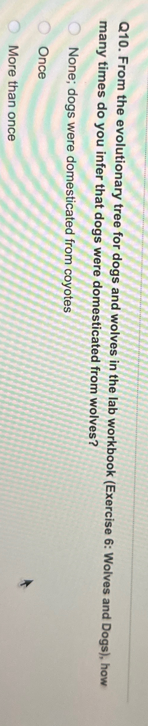 Solved Q10. ﻿From the evolutionary tree for dogs and wolves | Chegg.com