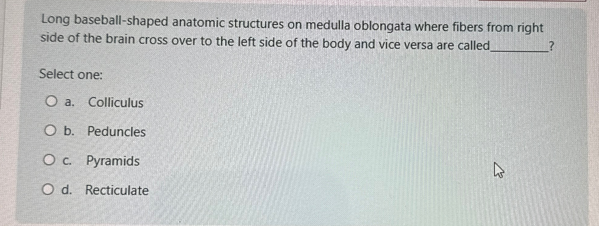 Solved Long baseball-shaped anatomic structures on medulla | Chegg.com