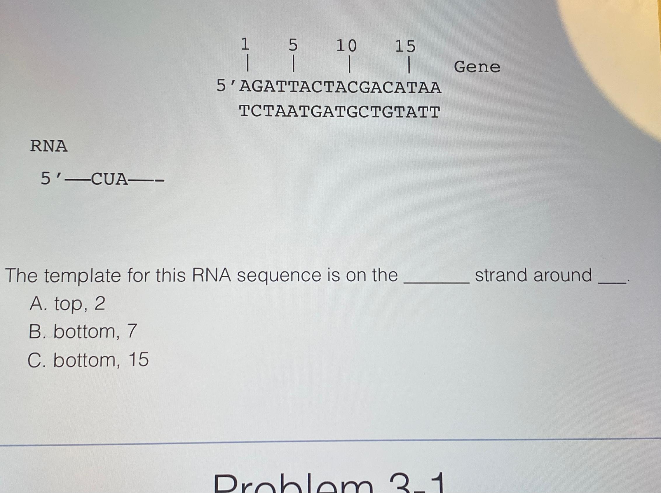 Solved RNA5C'UA-The template for this RNA sequence is on the | Chegg.com